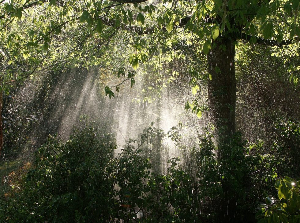 Sunshine Through the Rain - Beautiful You Med Spa